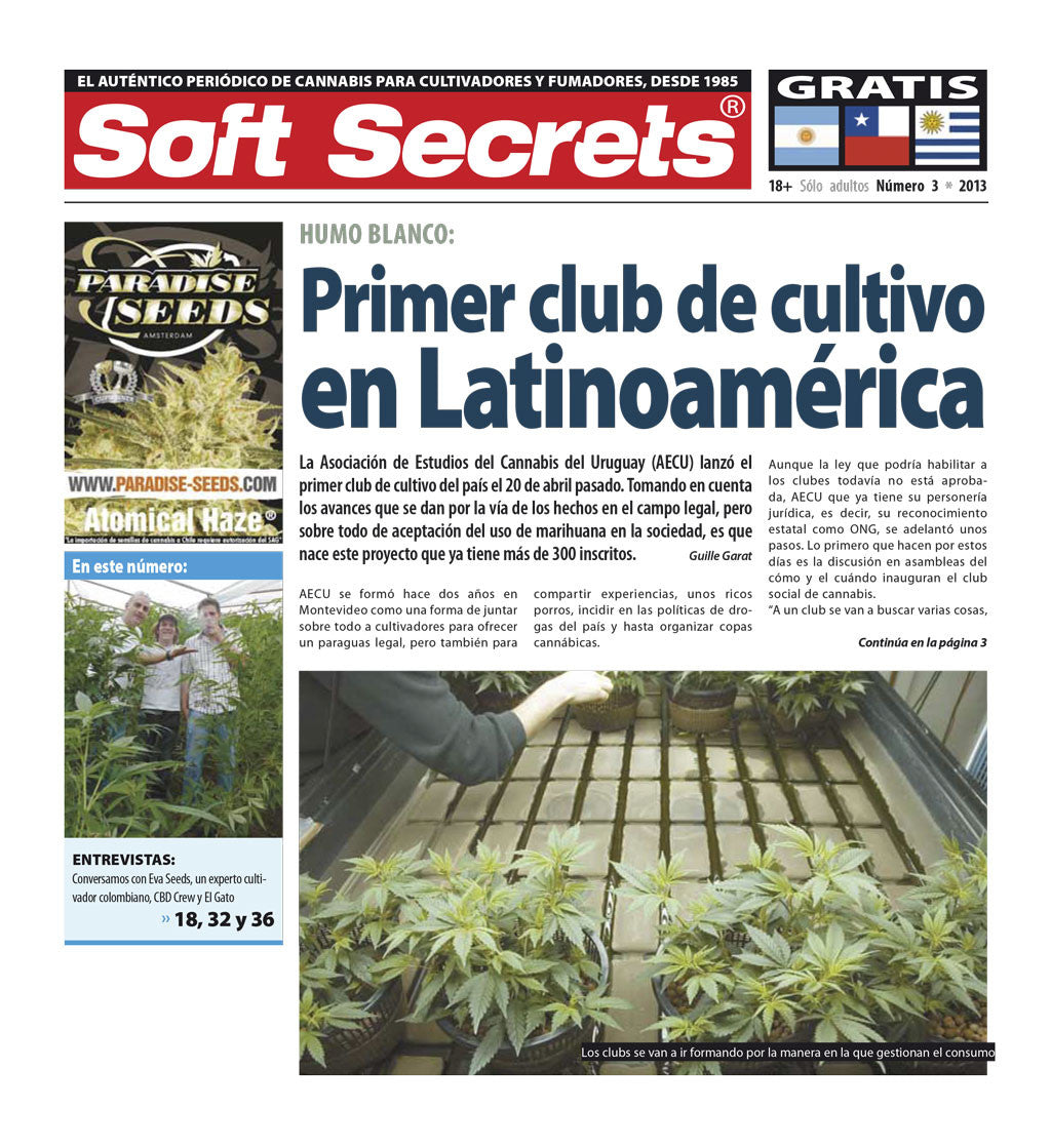 Alejandro Londono Interview in SOFT SECRETS – Marimberos